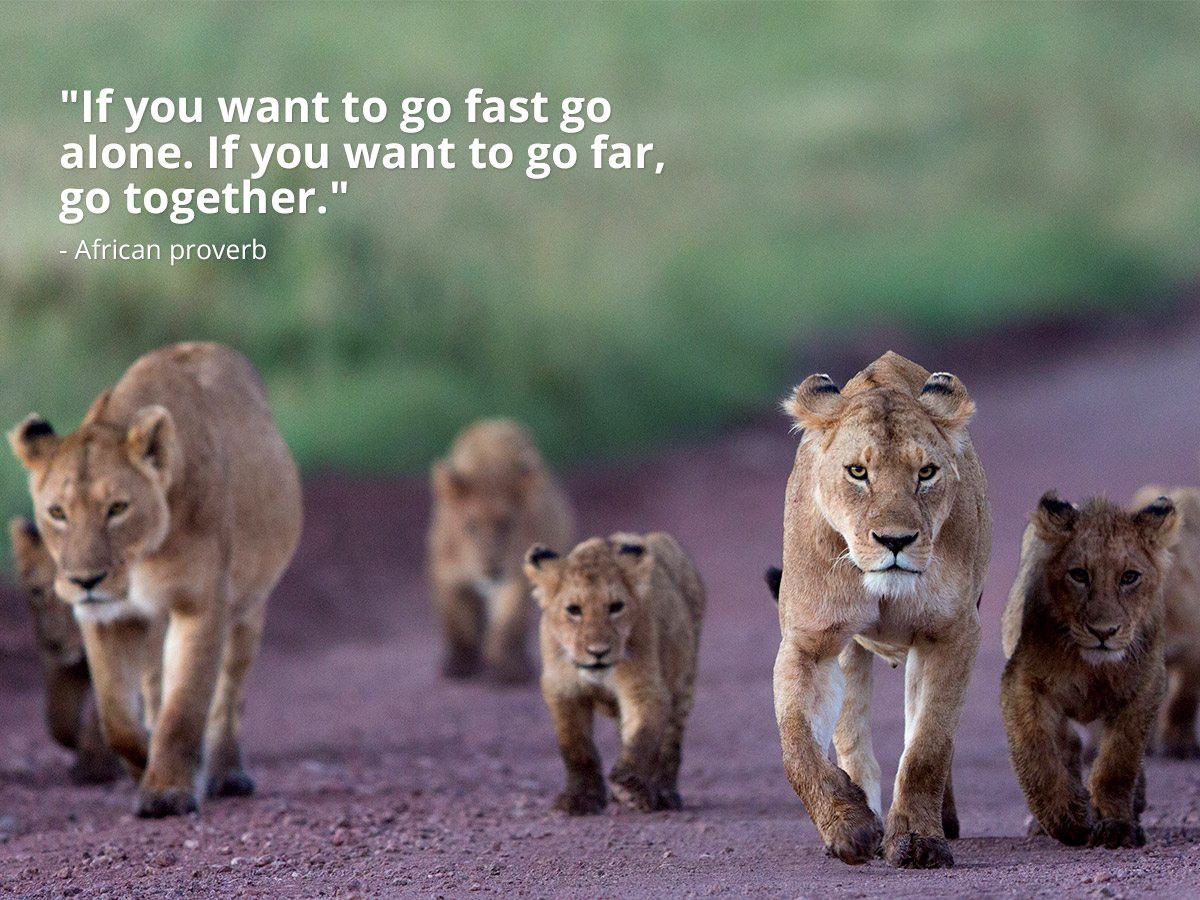 Go Fast, go alone; Go Far, go together – Starting Friday: Men's ...